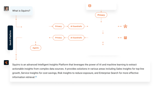Squirro Privacy Layer